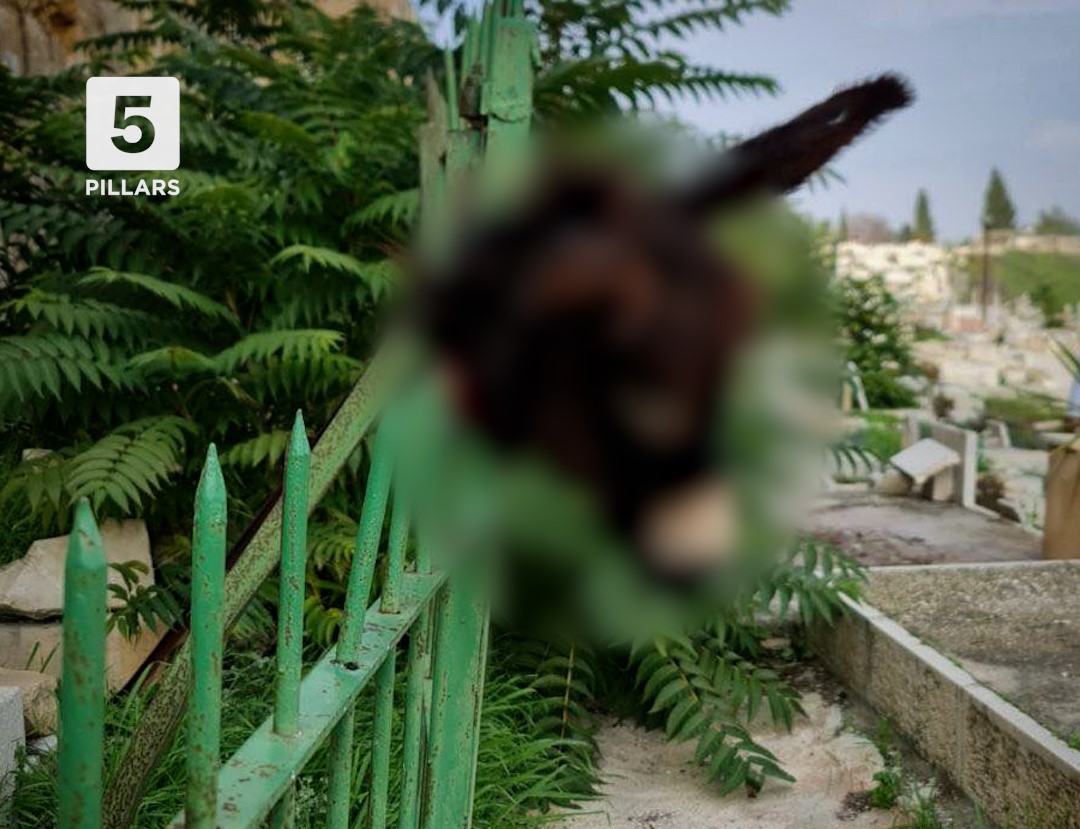 Israeli settlers desecrate Muslim cemetery near Al-Aqsa – 5Pillars